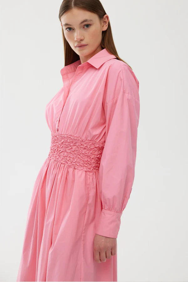 New Arrivals – Tara Langfield